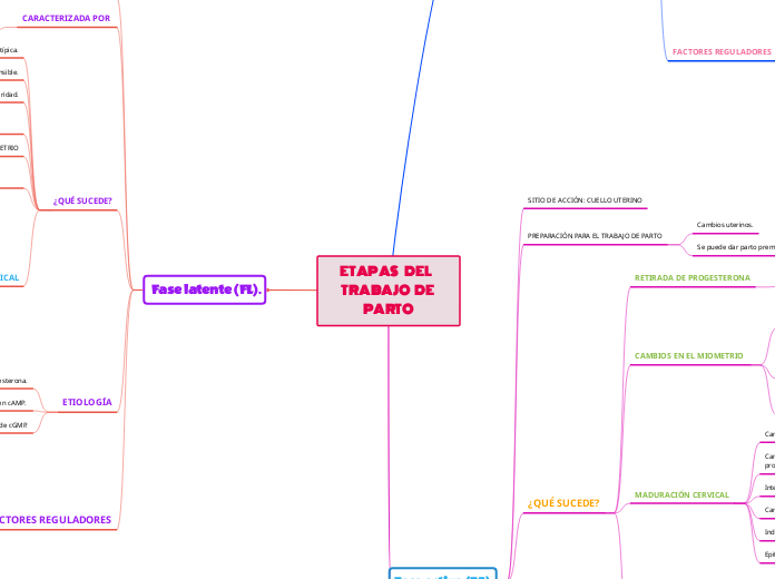 ETAPAS DEL TRABAJO DE PARTO - Mind Map